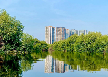 Traveling di Hutan Mangrove PIK, Bisa Jelajah Hutan hingga Staycation ...