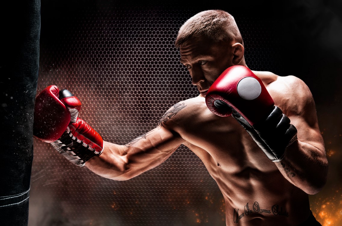 Mixed Martial Arts, Combat Sport yang Menggabungkan Berbagai Ilmu Bela ...
