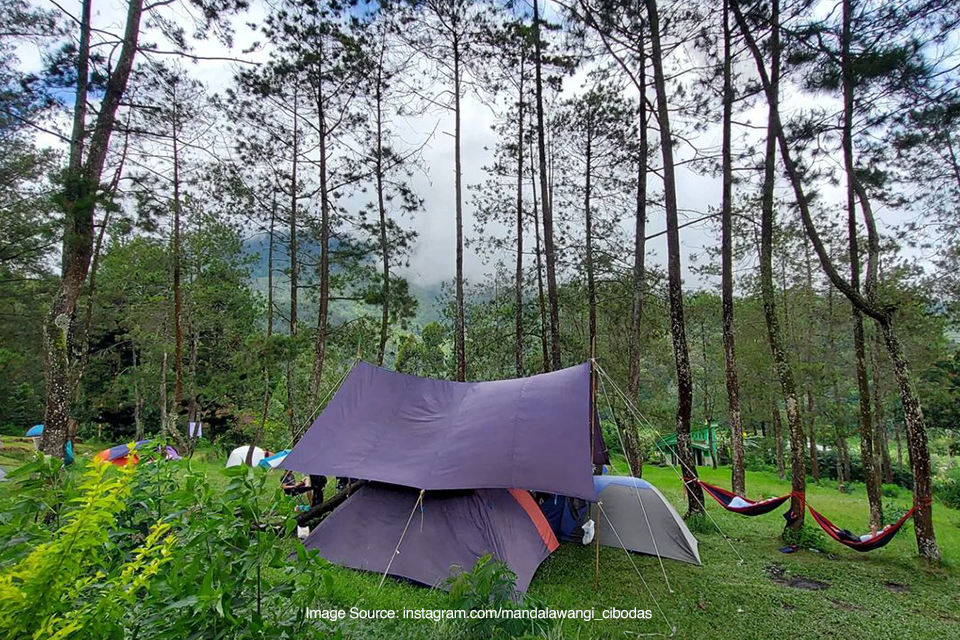 Wajib Tahu! Ini Informasi Terbaru Seputar Camping Ground Cibodas ...