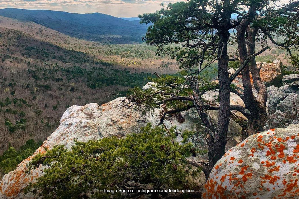 5 Destinasi Mempesona di Alabama yang Tawarkan Suasana Alam, Sangat ...