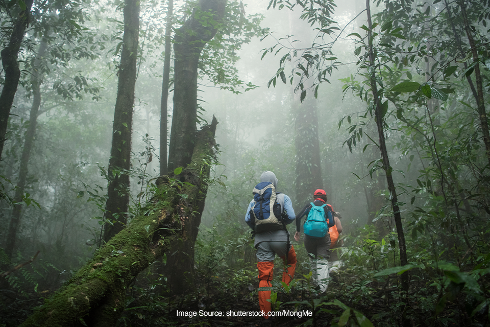 Pengertian, Fungsi, dan Cara Mendapatkan Simaksi dalam Pendakian ...
