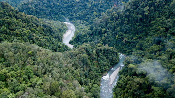 Jalur Pendakian Gunung Leuser, Terpanjang di Indonesia | SUPERLIVE