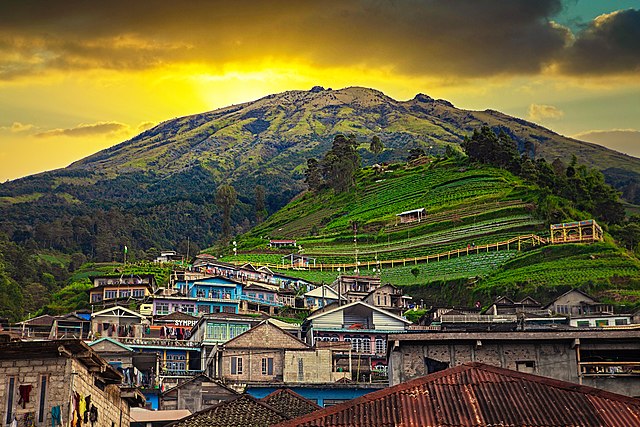 Itinerary Wisata Sehari di Magelang, Bisa Nikmati Pemandangan Gunung ...