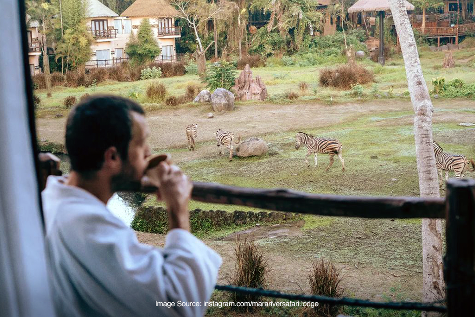Mau Menginap Ala Safari di Afrika? Yuk ke Mara River Safari Lodge di ...