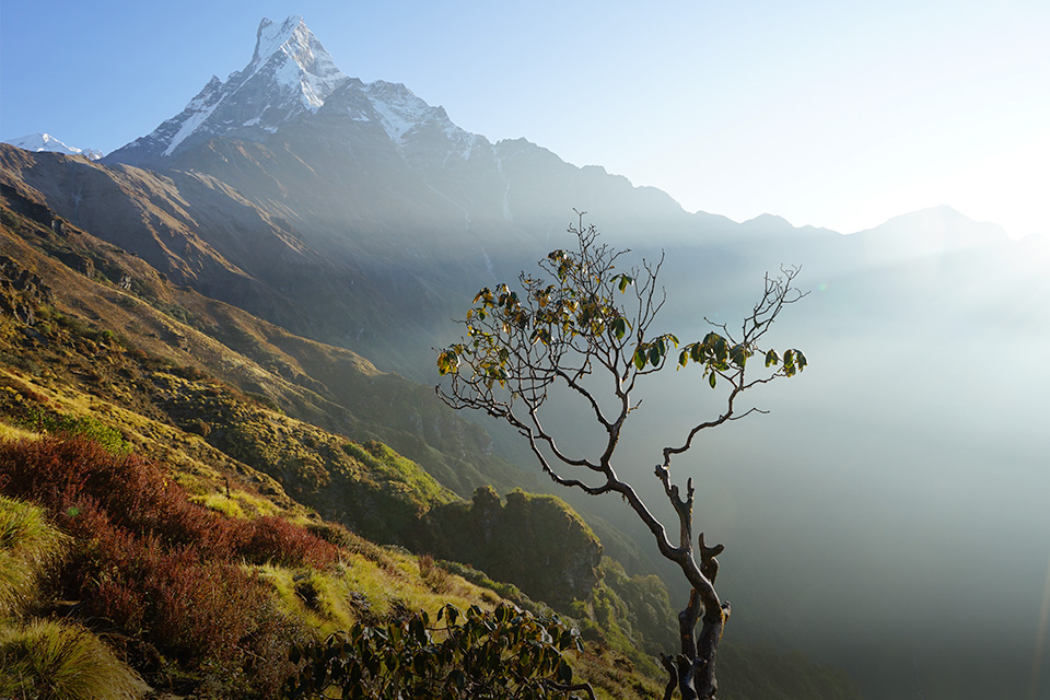Mengenal Machhapuchhre, Gunung Suci yang Nggak Boleh Didaki | SUPERLIVE