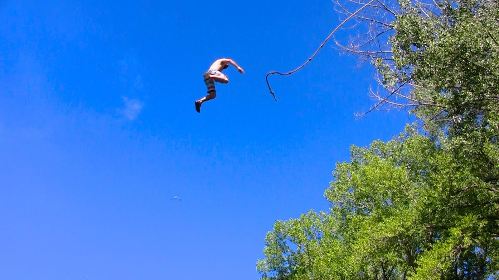 Bro, Yuk Wujudkan Impian Berayun Seperti Tarzan dengan Ropeswing ...
