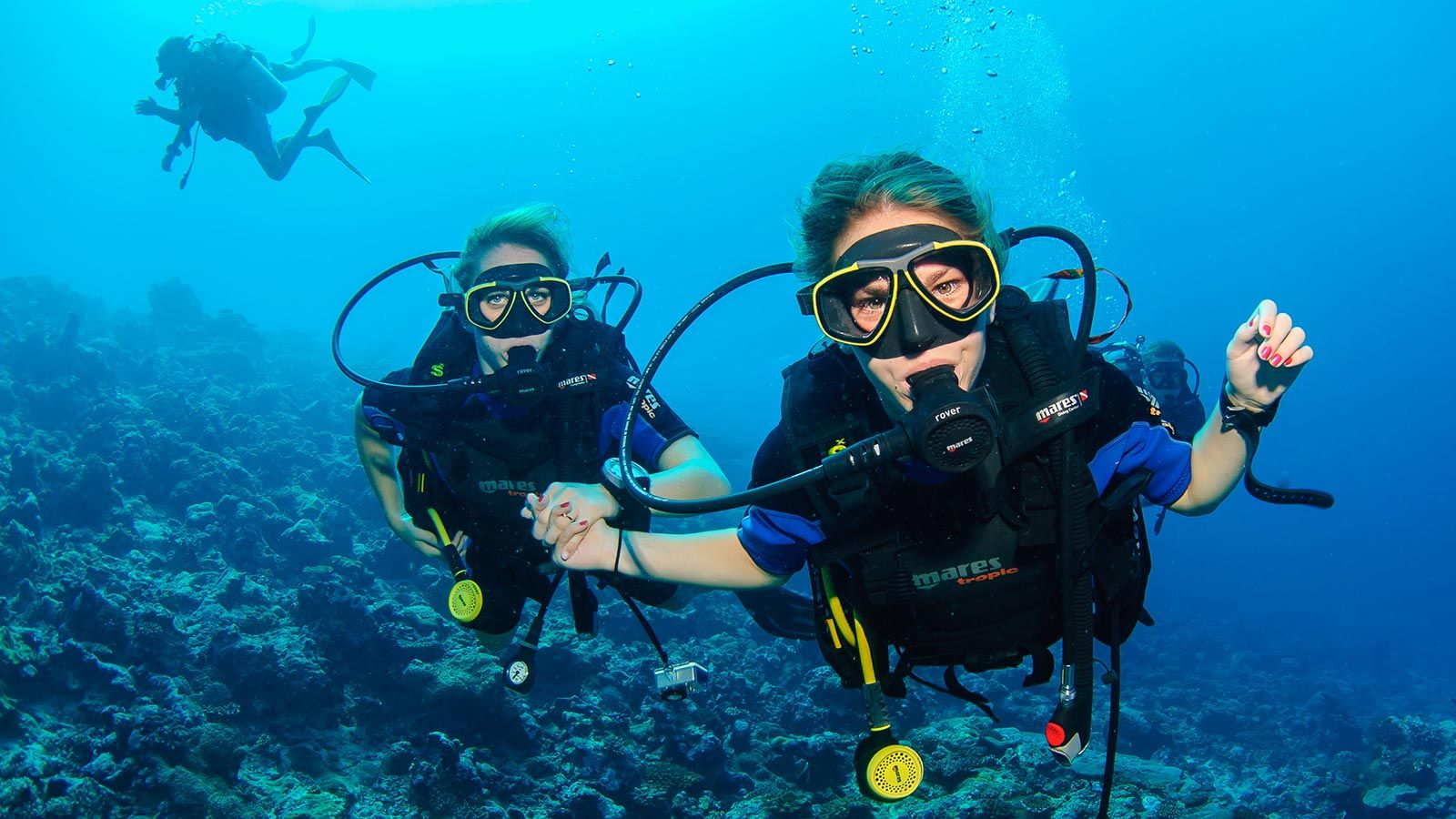 5 Prosedur Dasar Scuba Diving yang Wajib Dipelajari Penyelam | SUPERLIVE