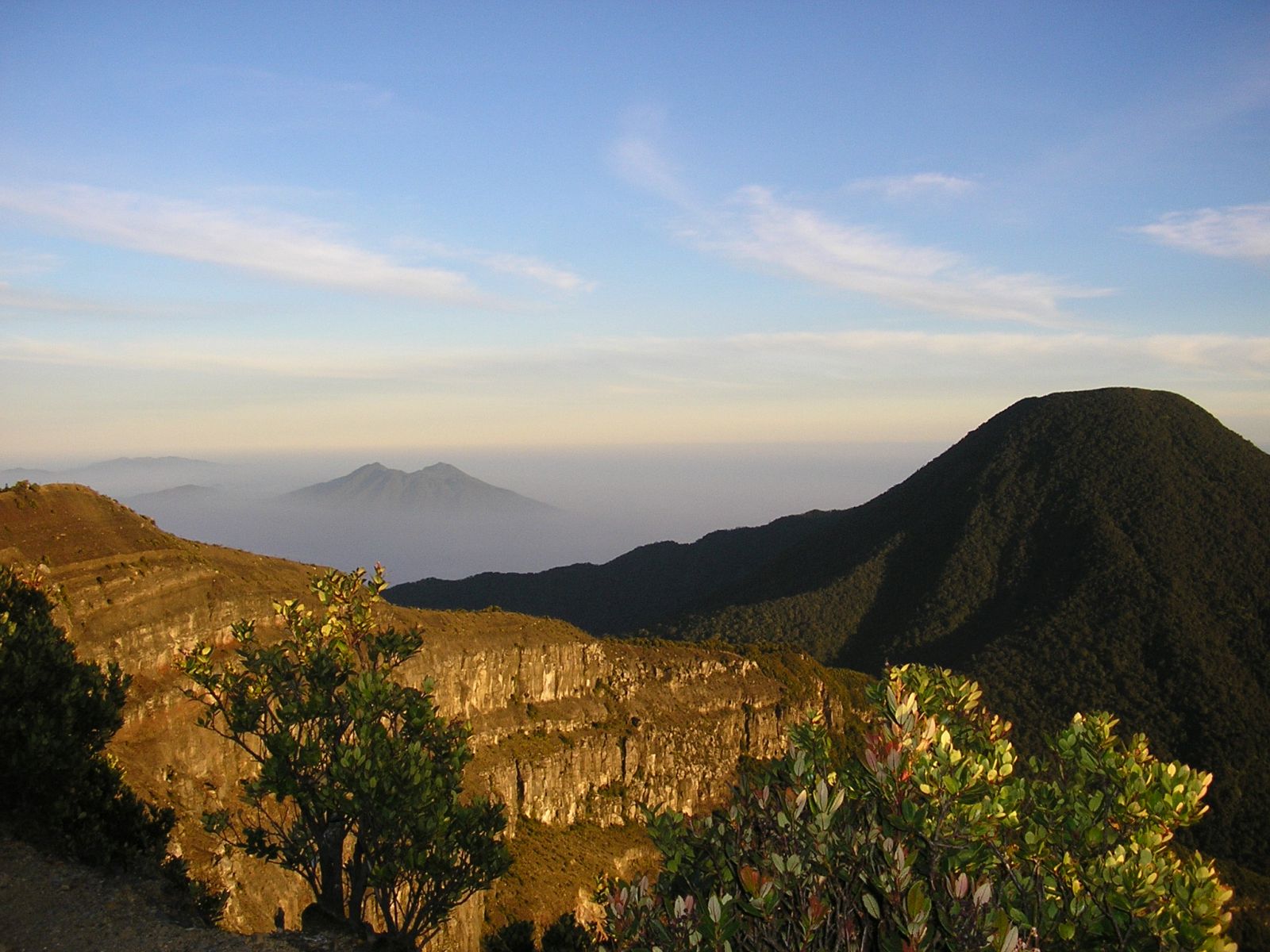 Aturan Baru Taman Nasional Gunung Gede Pangrango | SUPERLIVE