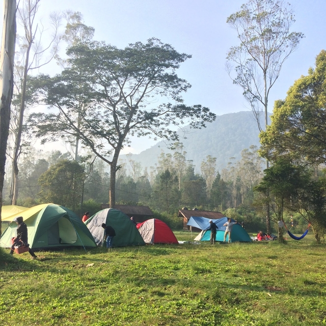 Keindahan Ranca Upas, Spot Terbaik Untuk Berkemah di Bandung! | SUPERLIVE