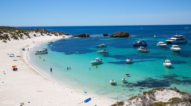 6 Fakta Di Balik Keindahan Alam Pulau Rottnest, Australia! | SUPERLIVE