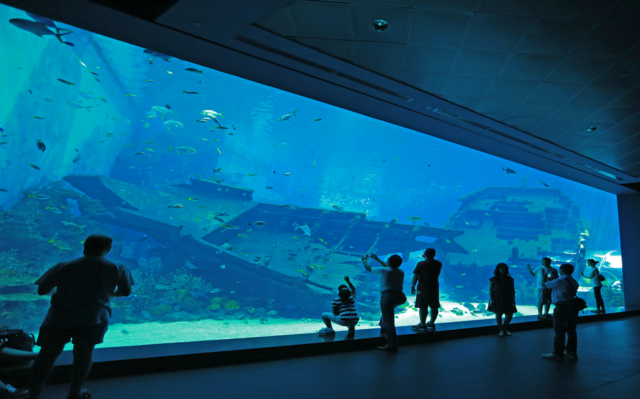 5 Hal Menarik di S.E.A Aquarium Singapore, Salah Satu Akuarium Terbesar ...