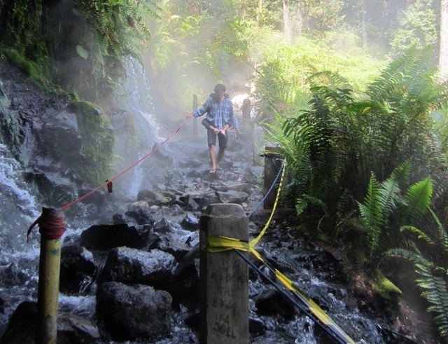Mengetahui Jalur Pendakian Gunung Gede Pangrango yang Seru Lewat ...