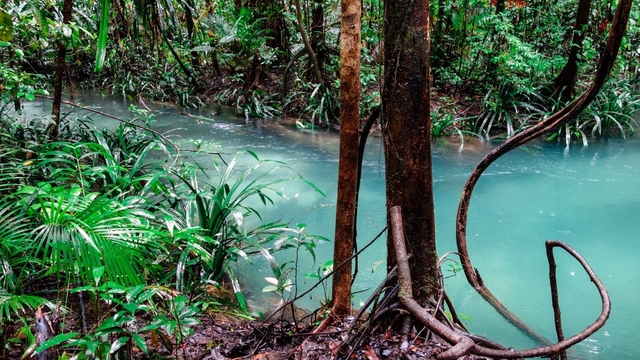 4 Fakta Menarik Kalibiru Raja Ampat Pasti Bikin Lo Ingin Mulai ...