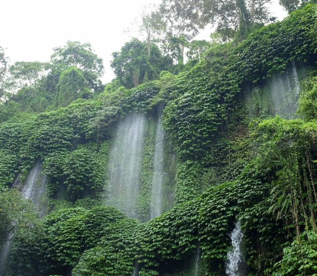 Mengenal Keindahan Alam di Air Terjun Benang Kelambu yang Menenangkan ...