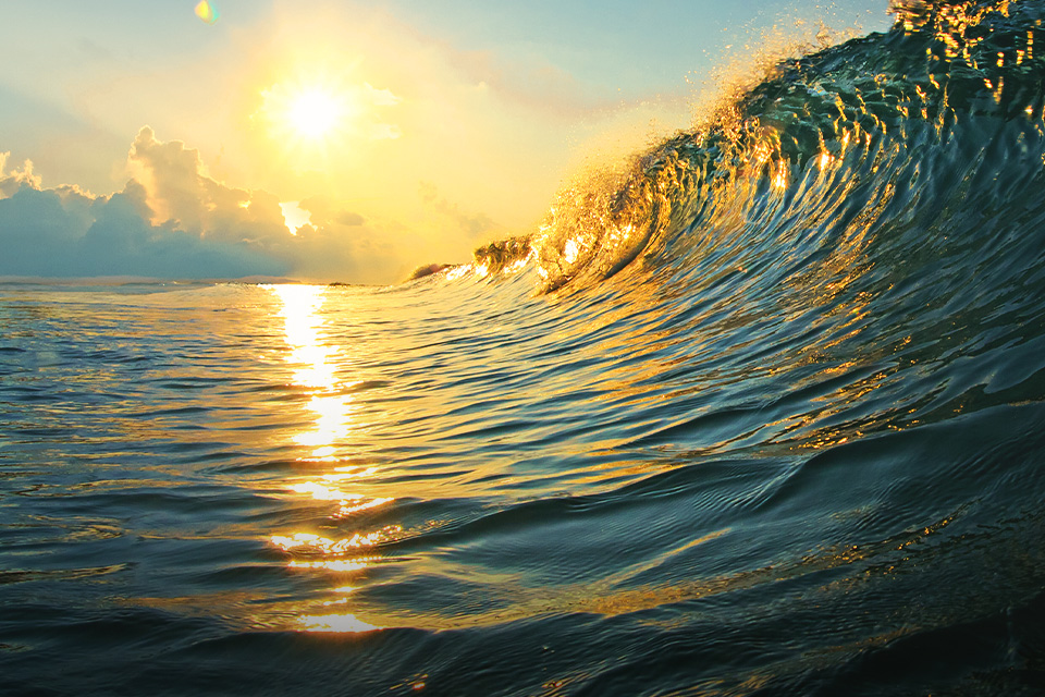 Ini Lho Bro Perbedaan Laut dan Samudra, Jangan Sampai Salah, Ya ...