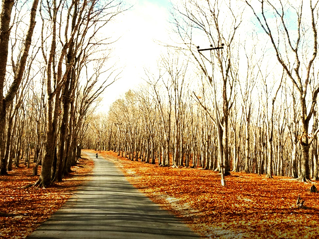 Menikmati Sejuknya Kota Soe, Tempat Terdingin di Pulau Timor | SUPERLIVE