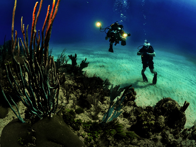 Mengenal Muck Diving, Bukan Sekadar Aktivitas Menyelam Biasa! | SUPERLIVE