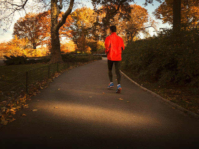 Tips Mendaki Rinjani, Salah Satu Gunung Paling Cantik di Indonesia ...