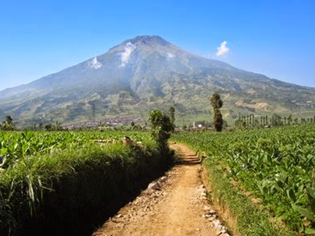 Mendaki Gunung Cikuray, Ini 6 Jalur Pendakian yang Bisa Dilalui | SUPERLIVE