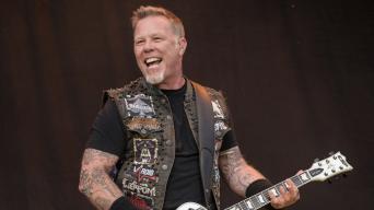 James Hetfield Hubungi Wanita yang Usir Singa Gunung dengan Lagu ...